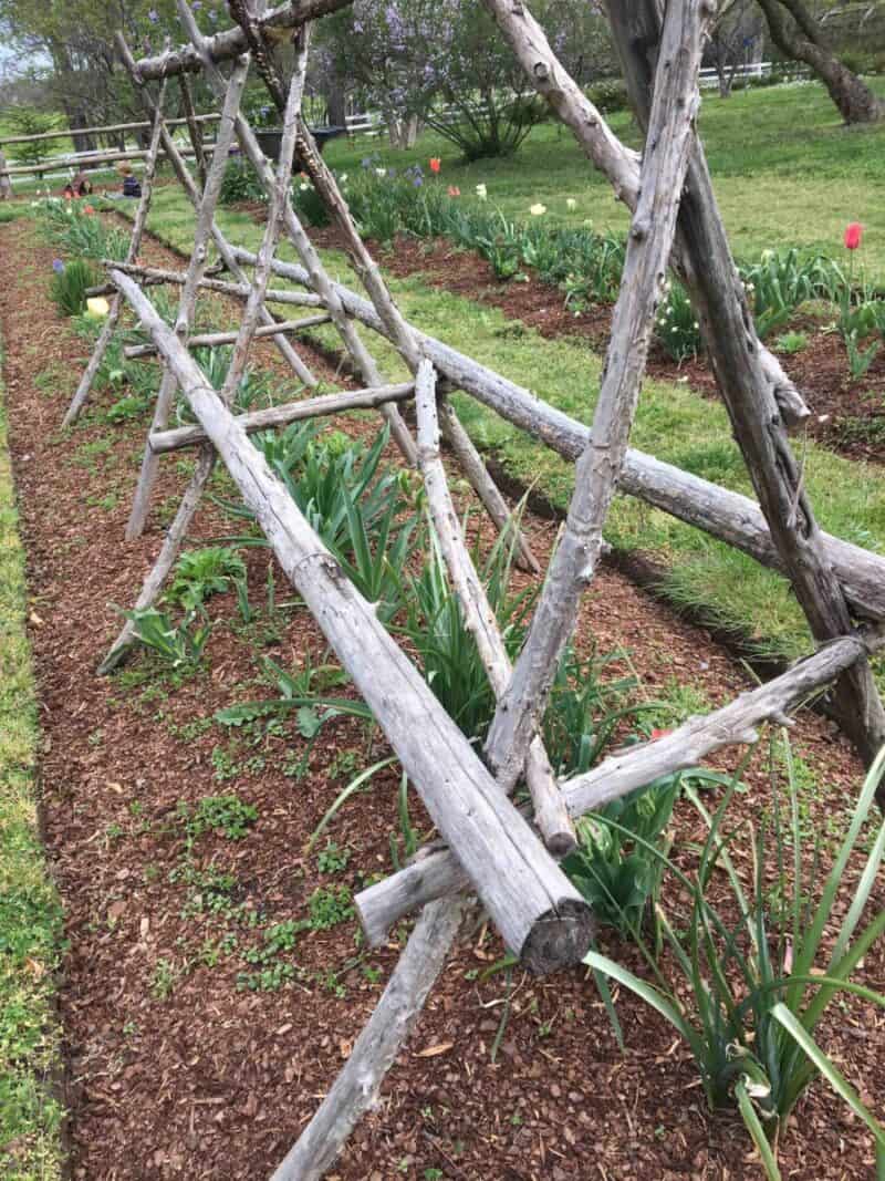 Art of the rustic trellis - Ellen Ecker Ogden